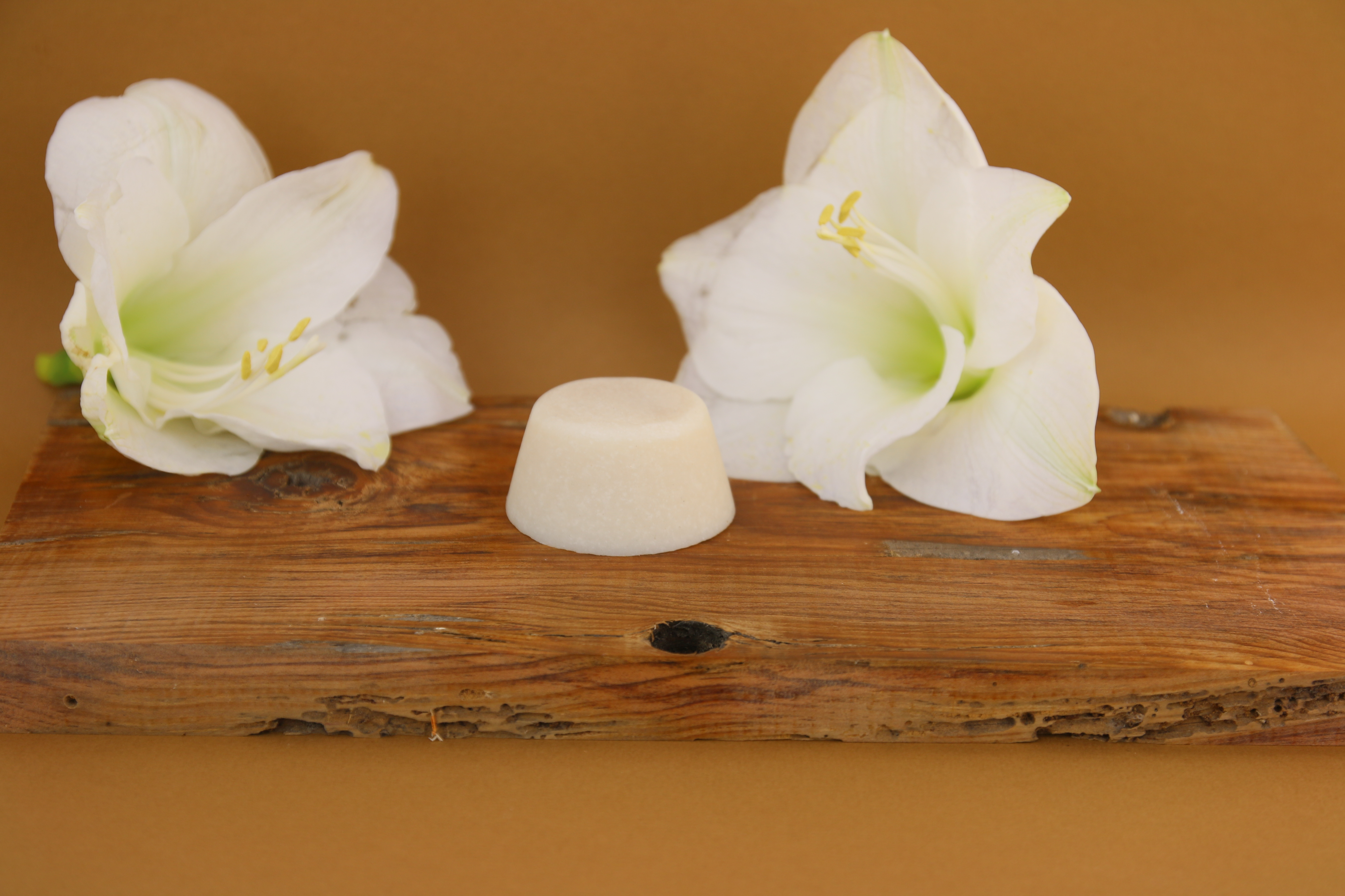 Recette Pain lavant nourrissant au Lait de Coco - Aroma-Zone