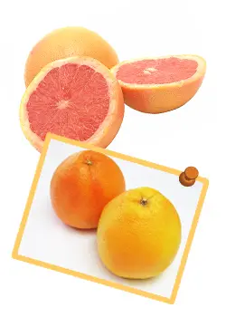 Hydrolat de Pamplemousse BIO - Aroma-Zone