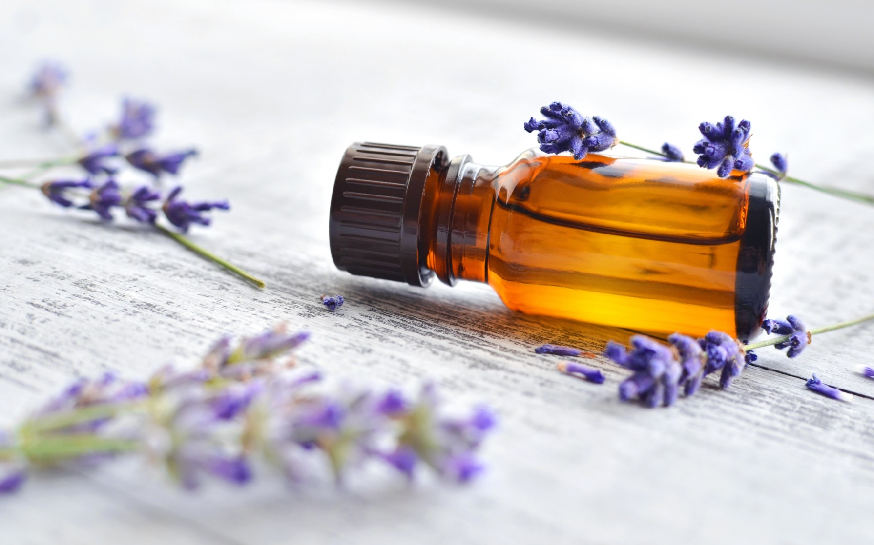 Intoxication alimentaire : symptômes, causes et traitements - Aroma-Zone