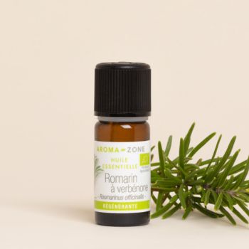 Romarin : Ses nombreux bienfaits sur les cheveux