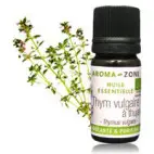 Thym : bienfaits, utilisations et contre indications