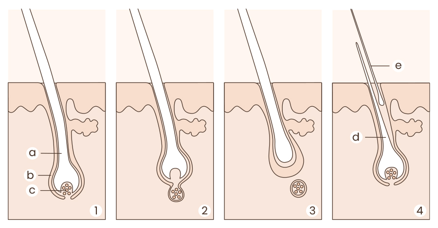 Sérum cils au Ricin - Aroma-Zone
