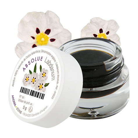Absolue de Labdanum - Aroma-Zone