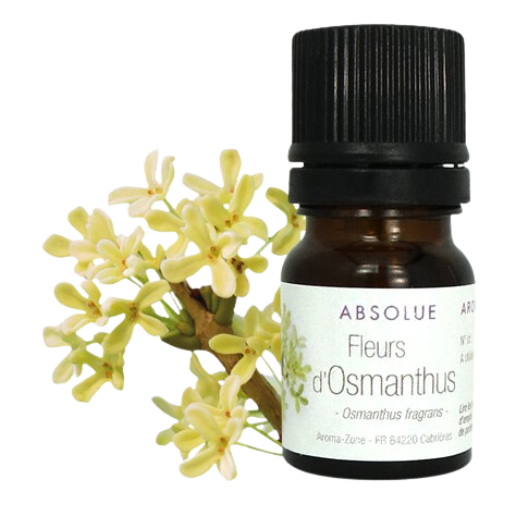 Absolue de fleurs d'Osmanthus - Aroma-Zone