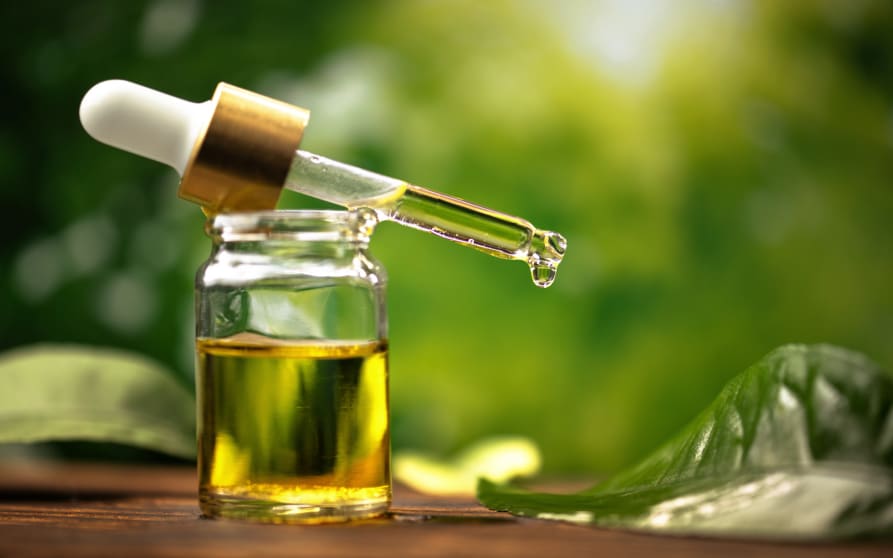 Tout savoir sur l'huile de Moringa