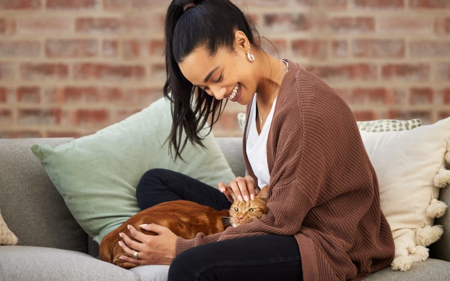 Quel anti-puce naturel pour les chats ? -Aroma-Zone