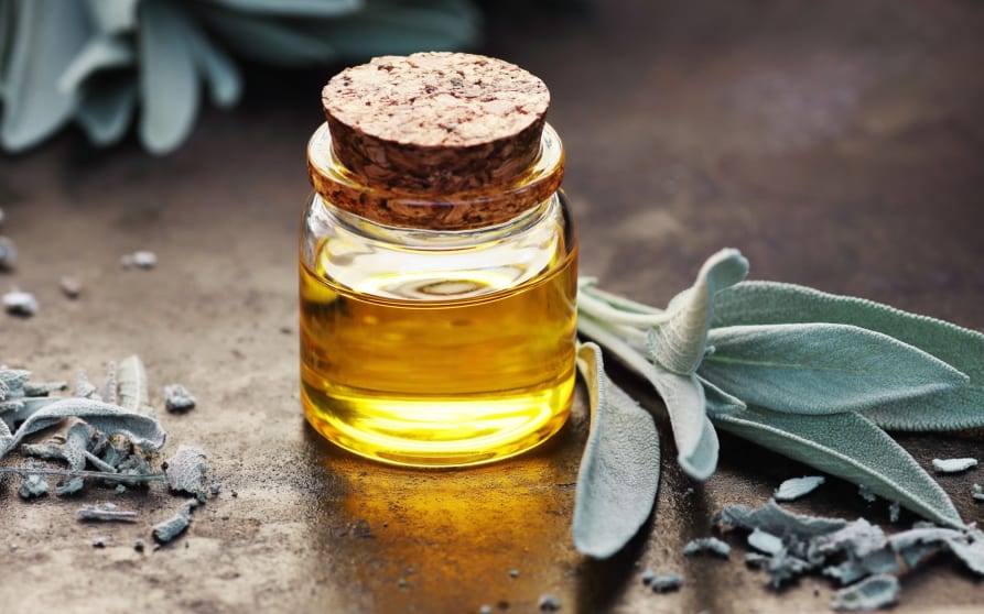 La Sauge officinale : définition, bienfaits et utilisations - Aroma-Zone