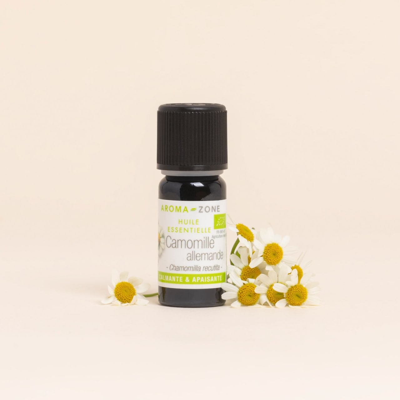 Camomille : Bienfaits, utilisations et précautions - Aroma-Zone